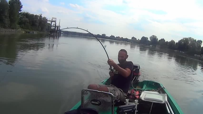 MAMMOTH RECORD CATFISH 265 POUND - HD by CATFISHING WORLD-2018-05-10T09 ...