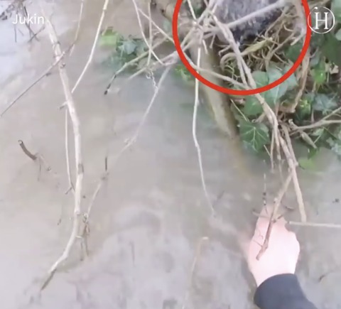 Guy Rescues Rabbits in Flood-2019-04-26T18:29:35Z-Youmaker-Admin-183s ...