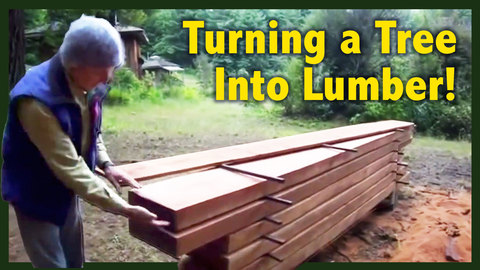 Turning a tree into lumber using a homemade Alaskan Mill-2021-03-31T03 ...