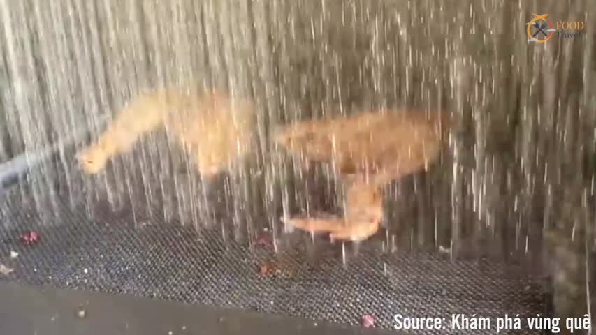 Waterfall Fried Chicken-2021-08-18T10:30:00Z-Youmaker-Cake Lovers-193s ...