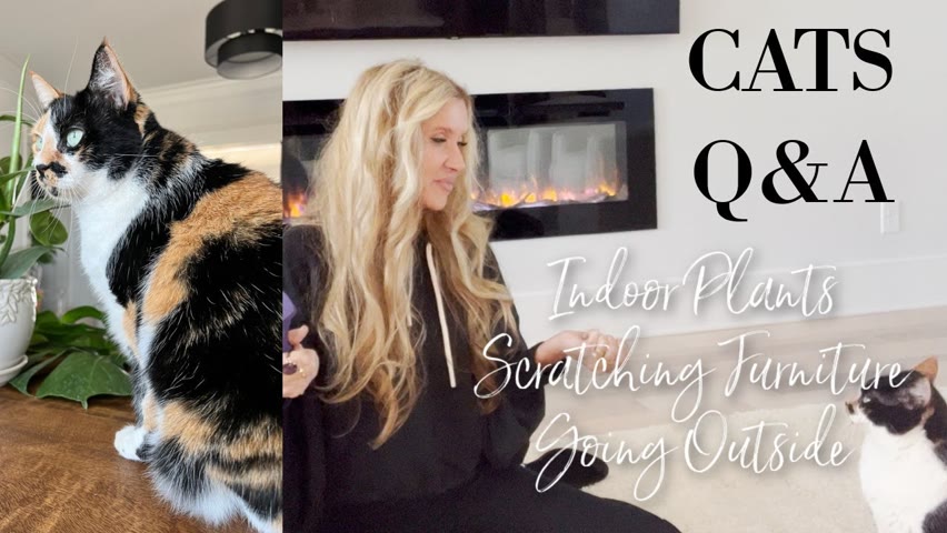 CATS 101 | How To Care For Your Cat | Outside | Indoor Plants ...