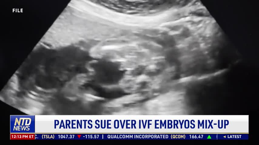 Parents Sue Over IVF Embryo Mix-Up-2021-11-09T19:24:17Z-Youmaker-NTD ...